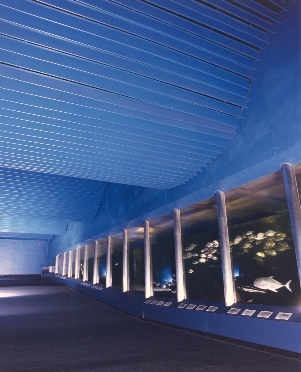 Linear Fin - Baffles - Ceilings – Products Archives | Gordon Inc