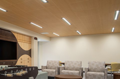 SECURITY CEILING SYSTEMS - MENTAL HEALTH | Gordon Inc